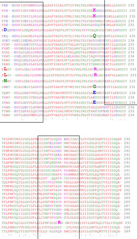 multiple sequence alignment of 24 organisms showing highly mutated download scientific diagram