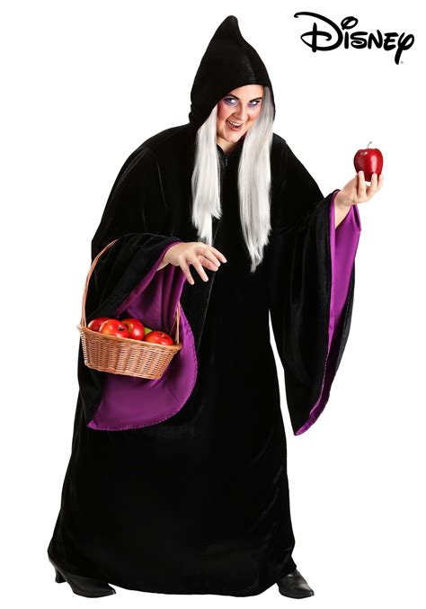 Womens Plus Size Disney Snow White Witch Costume Disney Costumes