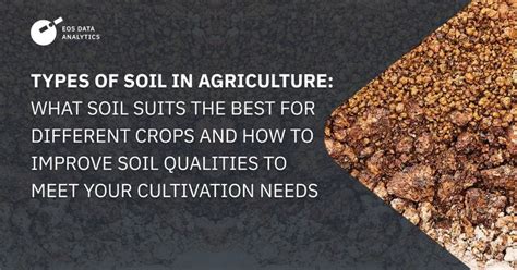 Soil Types Quality Is Essential For Every Plant To Produce At Its Peak