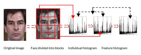 texture based face recognition using glcm and lbp schemes
