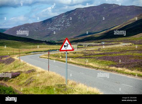 Glen Clunie Deer Hi Res Stock Photography And Images Alamy