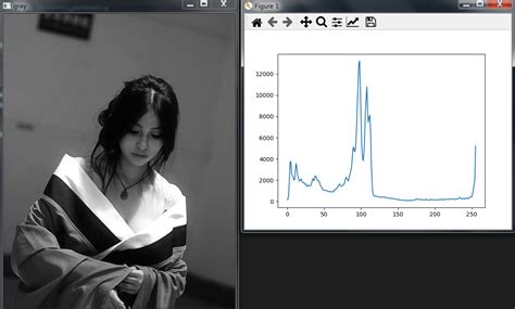 python opencv 图像处理之图像直方图，取经之旅第 25 天丨【百变ai秀】 云社区 华为云