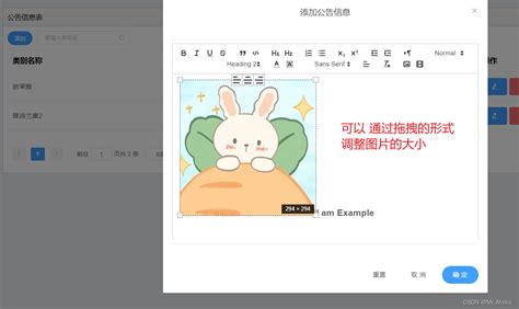 在vue项目中vue Quill Editor的安装与使用【详细图解过程包含图片的缩放拖拽】 Csdn博客