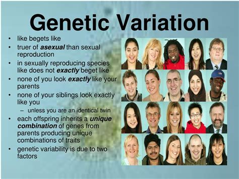 Ppt Reproduction Powerpoint Presentation Free Download Id6525011