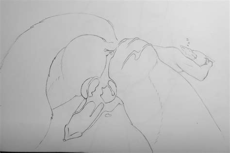 Rule 34 Absurd Res After Sex Anal Anthro Anus Ass Balls Bodily Fluids Cum Cum Inside Cum