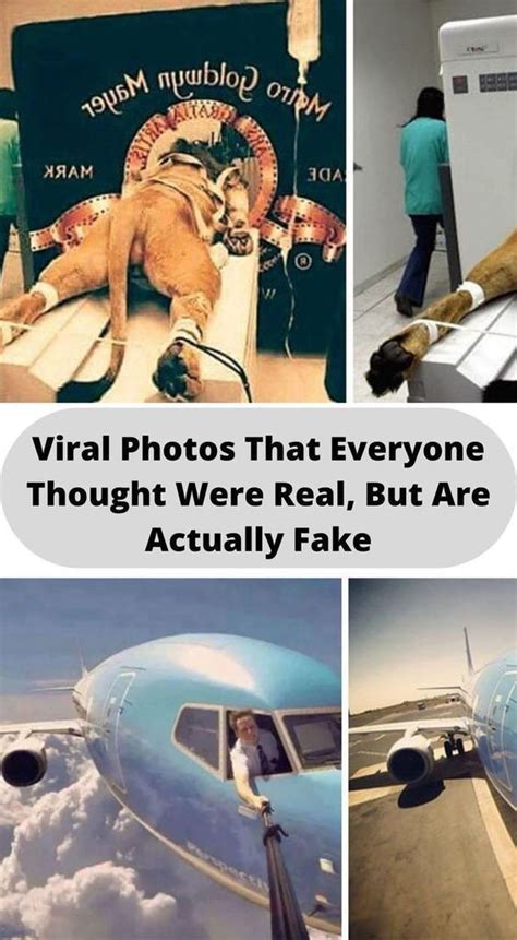 Advertising Fails Celebrity Updates Celebrity Trends Panda Funny Shark Swimming Viral Trend