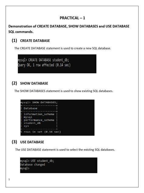 sql practical pdf relational database table database