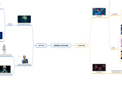 NERBIO SISTEMA Mind Map