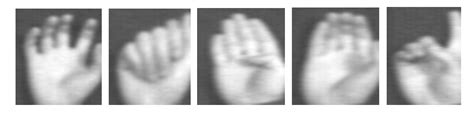static hand gesture recognition using multi layer neural network classifier on hybrid of features