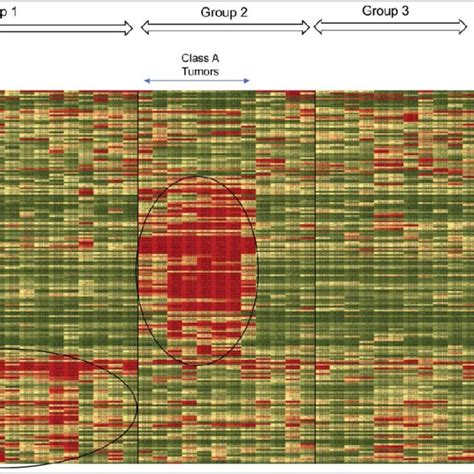 Heatmap Generated From Unsupervised Hierarchical Clustering Analysis