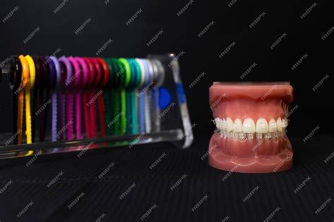 Modelo De Mandíbula Anéis Dentais Elastoméricos O Ring Para Demonstração De Dentes Com Suporte