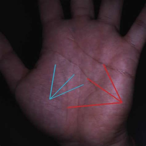 pdf palmprint and palmvein recognition based on dcnn and a new large scale contactless