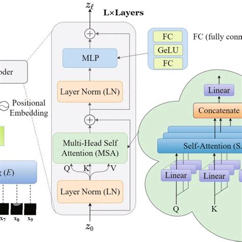 the architecture of the vision transformer includes the main download scientific diagram