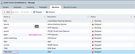 How To Enable SSH Access On VMware ESXi 8 ESXi 7 TechViewLeo