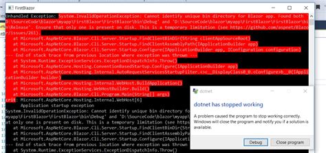 Cannot Identify Unique Bin Directory For Blazor App When Both Debug