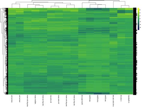 Data Visualization Interpreting Cluster Heat Maps From R Cross Validated