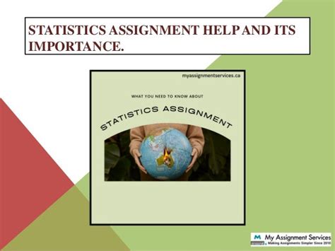statistics assignment help and its importance