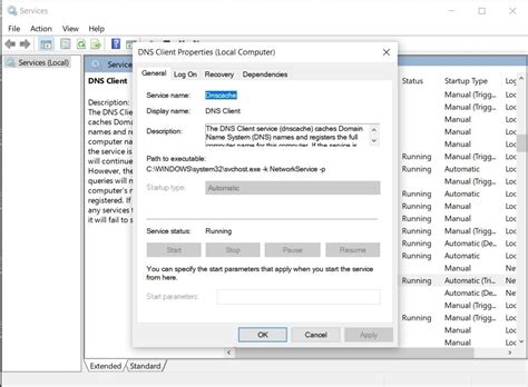 How To Flush And Reset The Dns Cache In Windows 10 Techcult