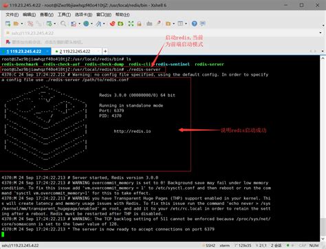 redis入门 适合新手 csdn博客