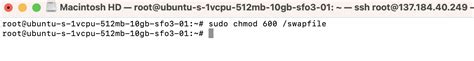 How To Create A Swap File On Ubuntu Devtutorial