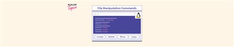 File Manipulation Commands In Linux Scaler Topics