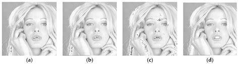 symmetry free full text efficient data hiding based on block truncation coding using pixel
