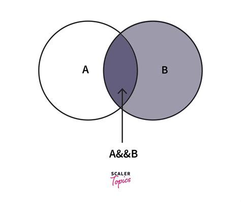 Boolean In C With Examples Scaler Topics