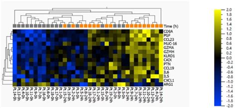 B Heat Map And Two Way Unsupervised Hierarchical Clustering Based On