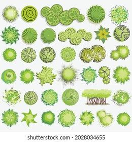 Trees Bush Item Top View Landscape Stock Vector Royalty Free