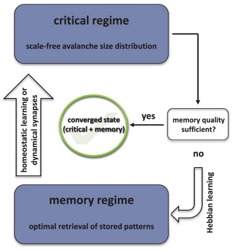 schematic representation of the dual optimization algorithm download scientific diagram