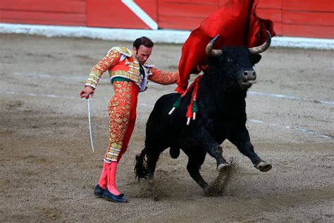 Prohibición De Las Corridas De Toros En Colombia Está A Un Paso De Ser Ley De La República Infobae