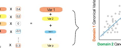 a general schematic for canonical correlation analysis cca a download scientific diagram