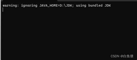 warning ignoring java home d jdk； using bundled jdk报错解决 csdn博客