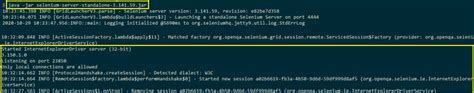 how to run selenium tests using ie driver adfallon