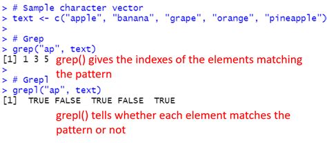 grep and grepl r functions explained with examples master data skills ai