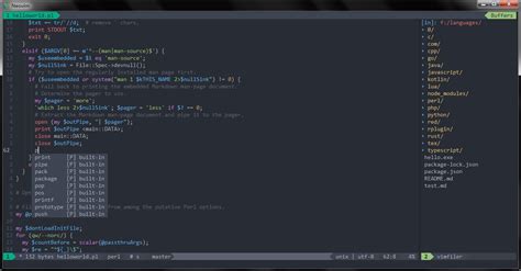 Argv Perl