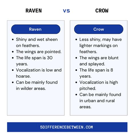 5 Difference Between Raven And Crow Raven Vs Crow
