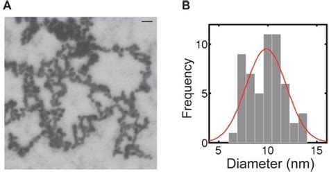 Figure S Sem Micrograph A And Diameter Histogram B Of