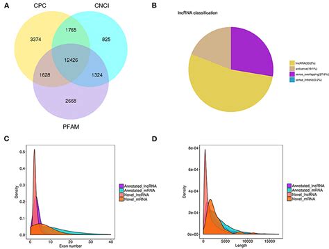 Frontiers Insights Into Long Non Coding RNA And MRNA Expression In