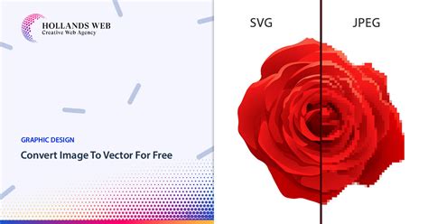 Convert Image To Vector For Free Hollands Web