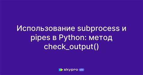 Использование subprocess и pipes в Python метод check output