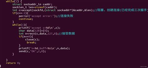 【socket网络编程】 sockect 编程 十分点进制 csdn博客