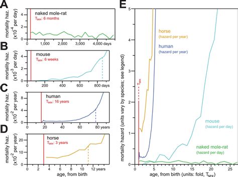 Figures And Data In Naked Mole Rat Mortality Rates Defy Gompertzian