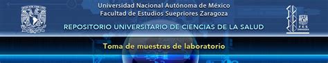 Toma de muestra sanguínea venopunsión