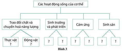 1 Vẽ sơ đồ minh họa nhu cầu nước của thực vật 2 Vẽ sơ đồ vận chuyện