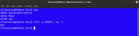 How To Solve Too Many Open Files In Java Applications Mastertheboss