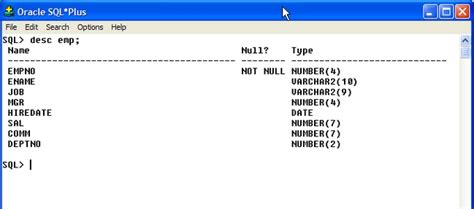 oracle pl sql sql plus overview 8897 hot sex picture