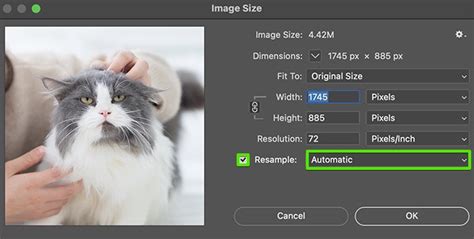 How To Resize Image In Photoshop 4 Quick Ways