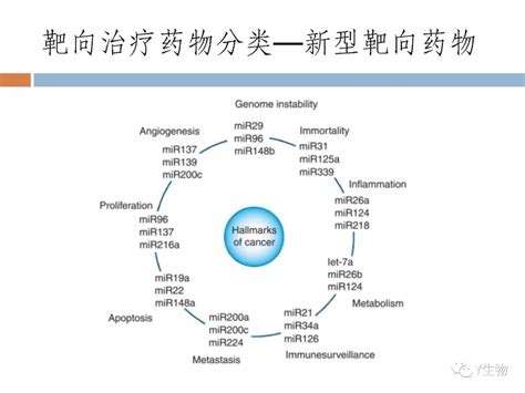 靶向治疗丨肿瘤靶向治疗药物概述 凤凰网