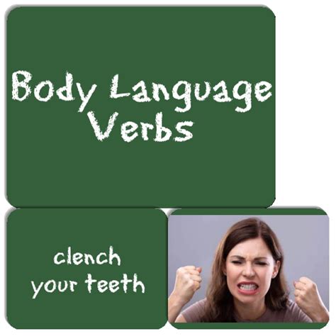 Body Language Verbs Match The Memory